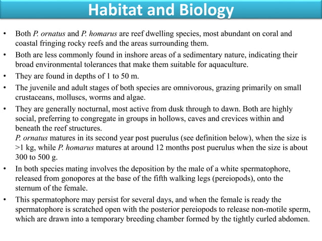 Lobster seed production and Aquaculture.pptx | Fish and Aquariums | Pets
