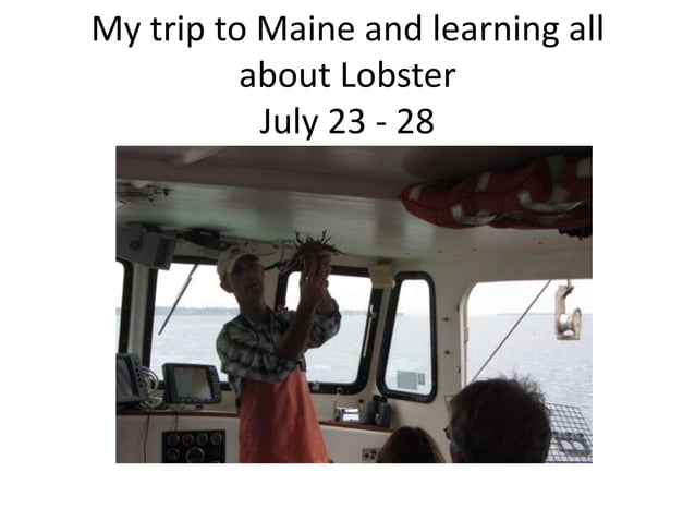 Lobster slide show | PPT