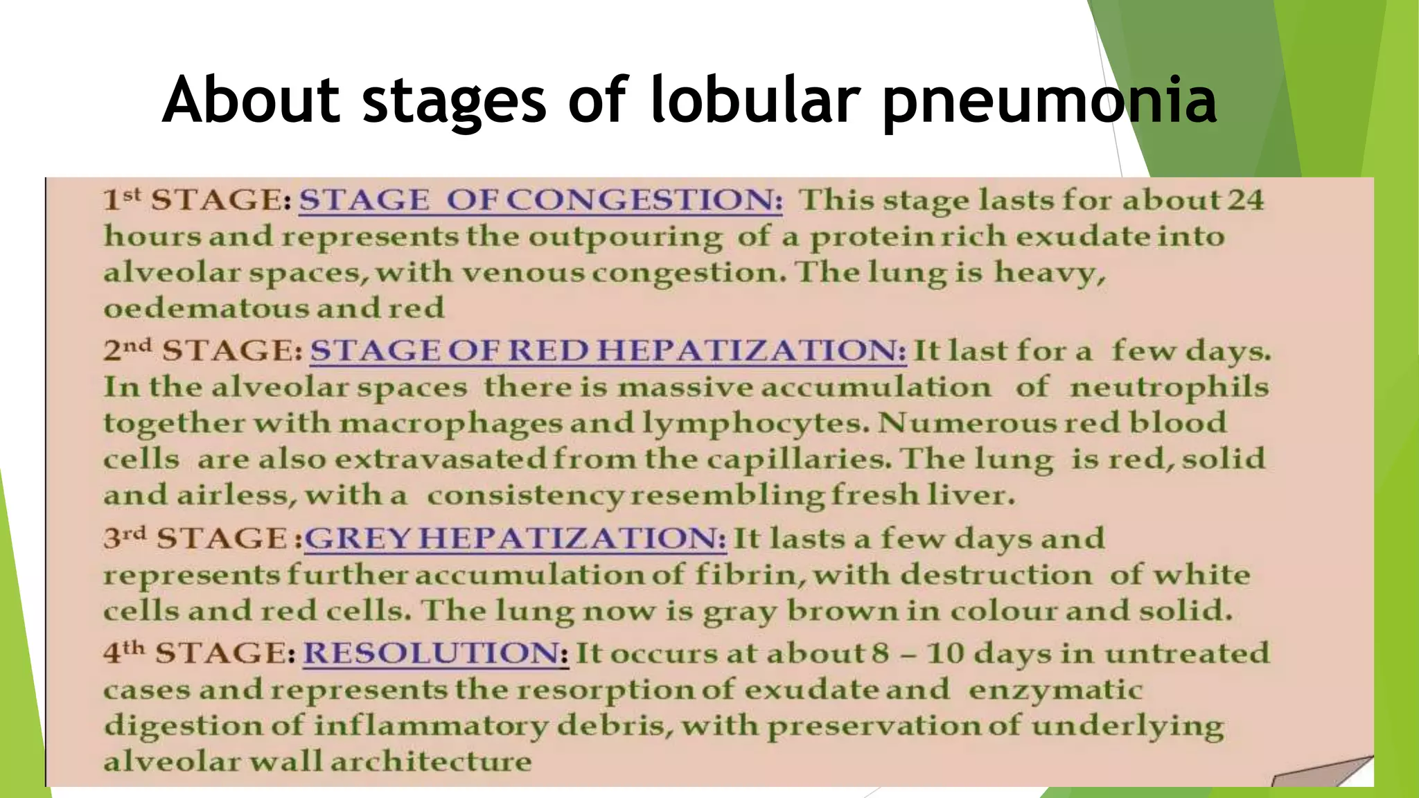 lobular pneumonia..pptx