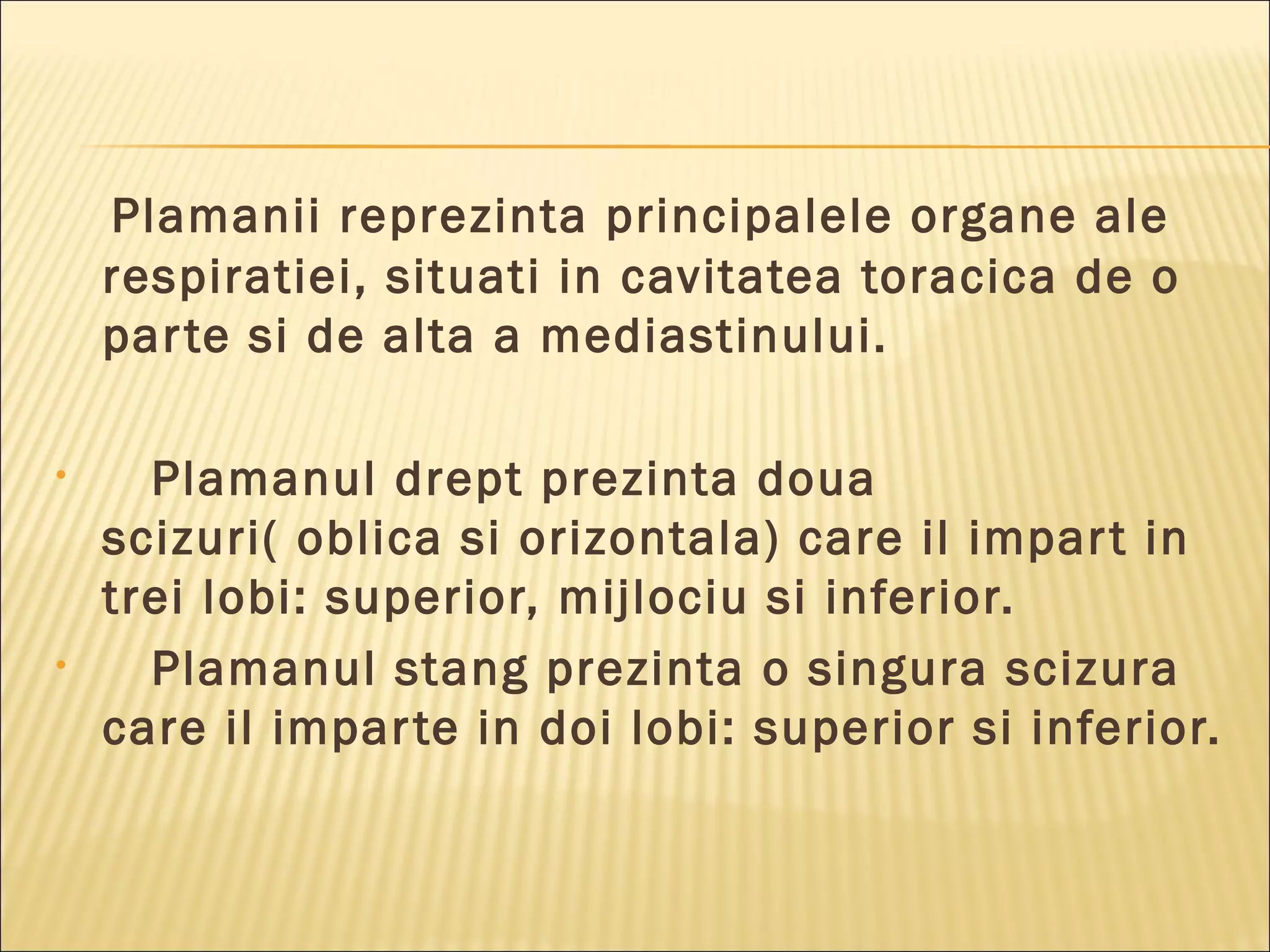 Lobul azygos | PPT