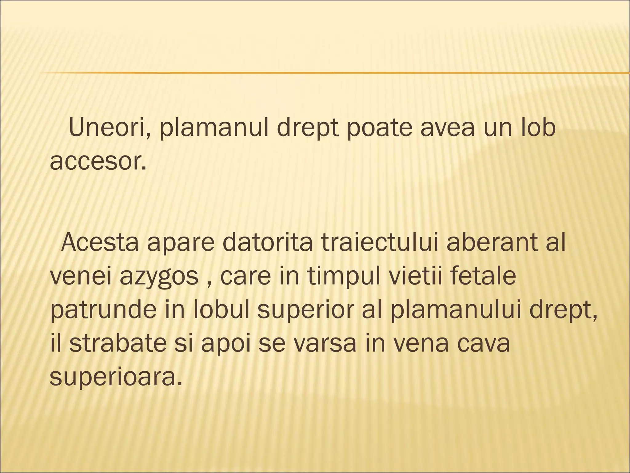Lobul azygos | PPT