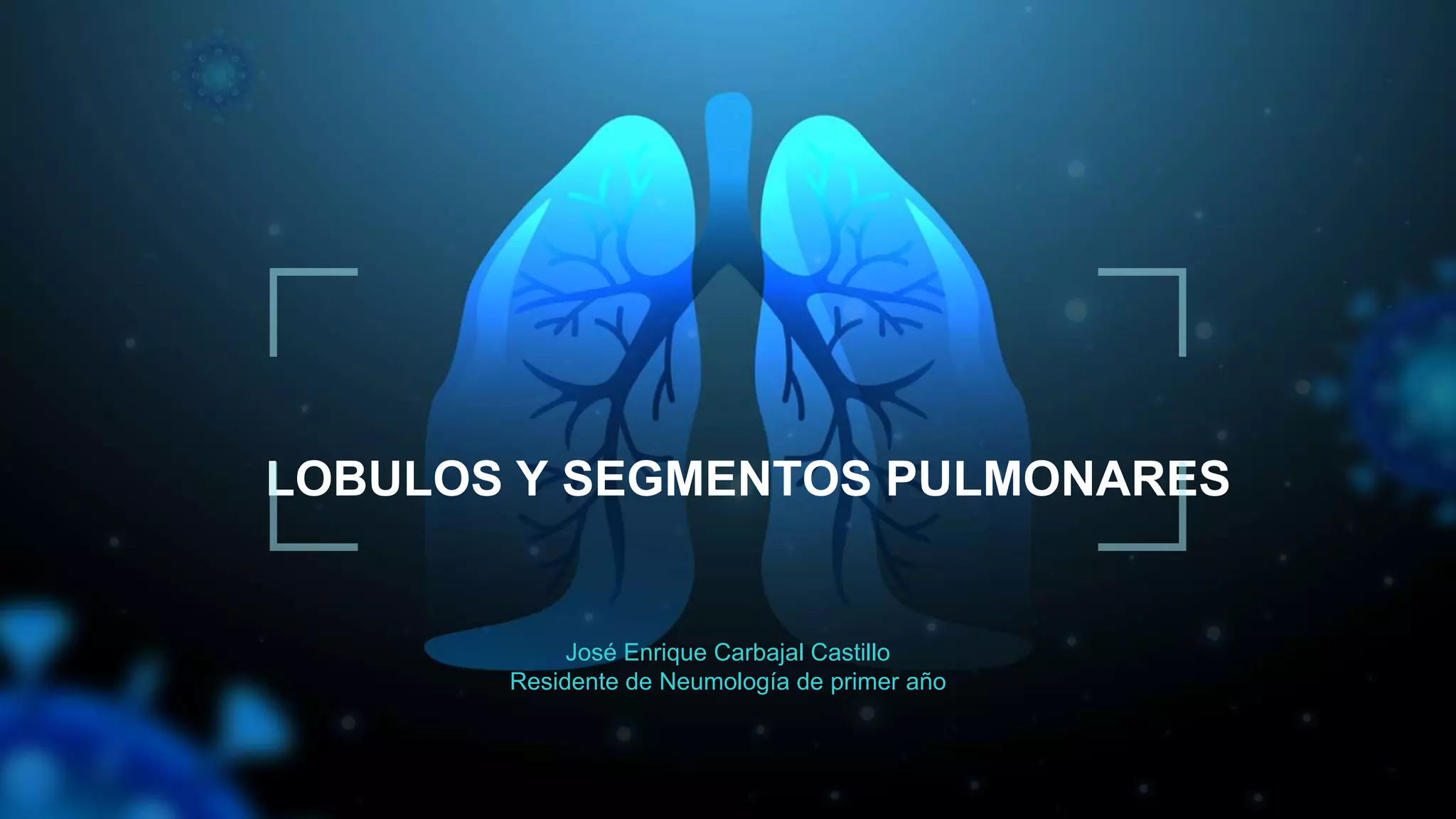 LOBULOS Y SEGMENTOS PULMONARES.pptx