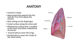 LOCALLY ADVANCED LUNG CANCER MANAGEMENT | PPTX