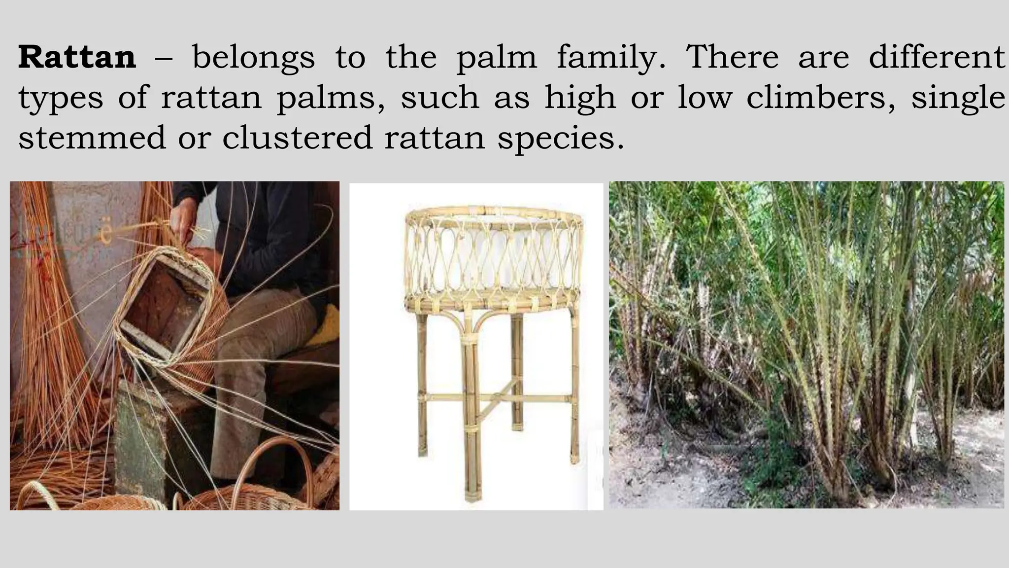 Local Materials Use In Arts.pptx