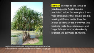 Local-Materials-used-in-creating.pdf.conarts | PDF