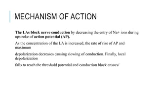 Local A.pptx of ansthesia and local anesthetic | PPT