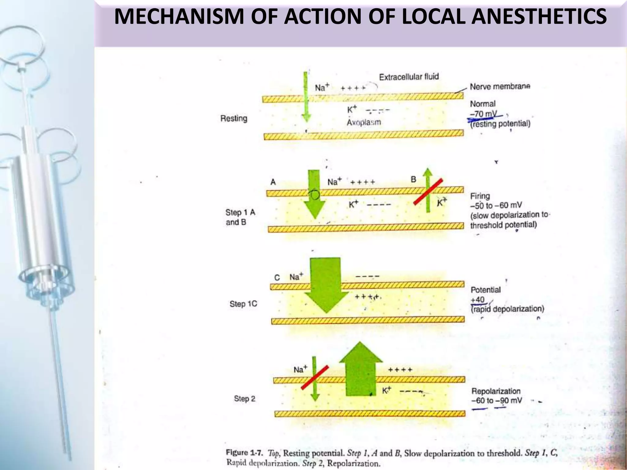 "LOCAL-ANAESTHESIA" | PPTX