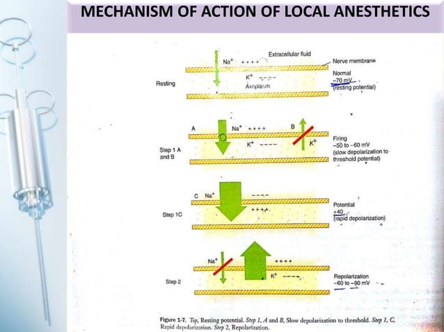 "LOCAL-ANAESTHESIA" | PPTX | Chemistry | Science