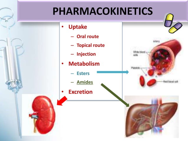 "LOCAL-ANAESTHESIA" | PPTX | Chemistry | Science