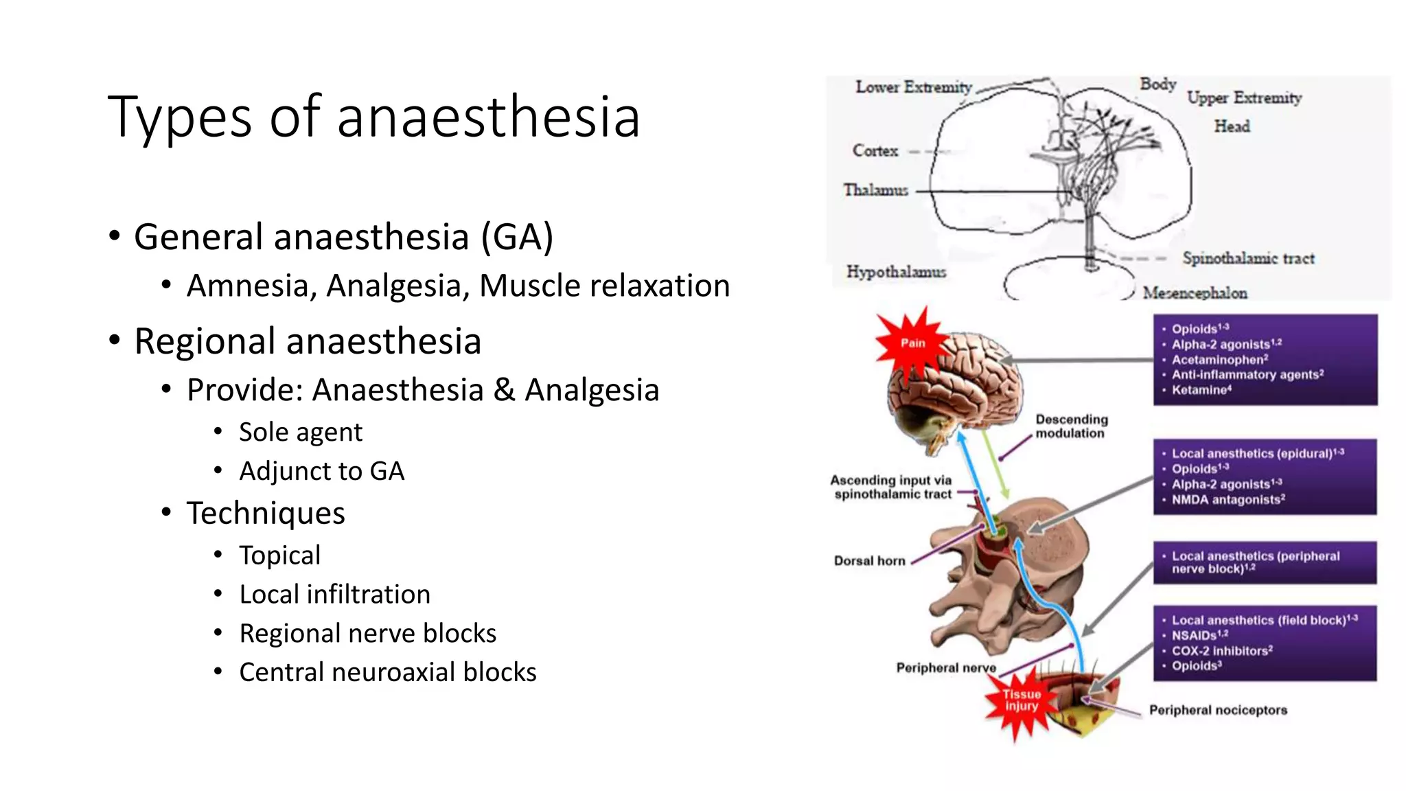 General and regional anaesthesia.pptx