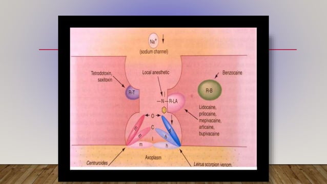 LOCAL ANAESTHESIA classification, contents , indication and ...