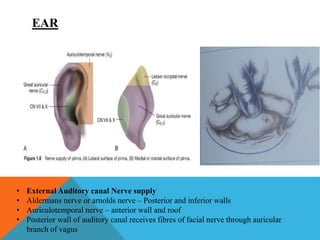 Local anaesthesia blocks in ent | PPTX