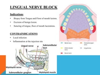 Local anaesthesia blocks in ent | PPTX