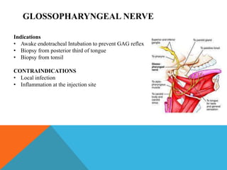 Local anaesthesia blocks in ent | PPTX
