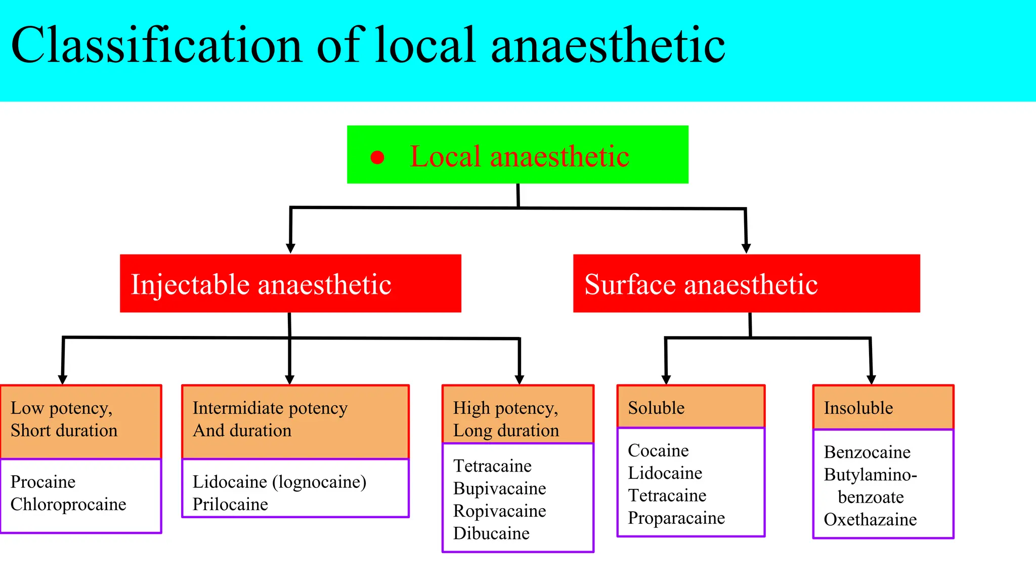 Local Anaesthetic (General Overview).pptx