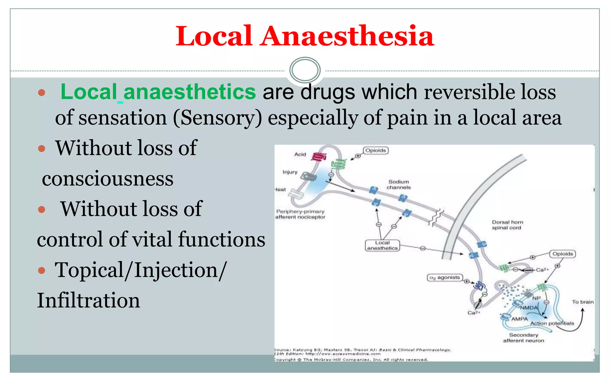 Pharmacotherapy of Local anaesthetic drugs | PPTX