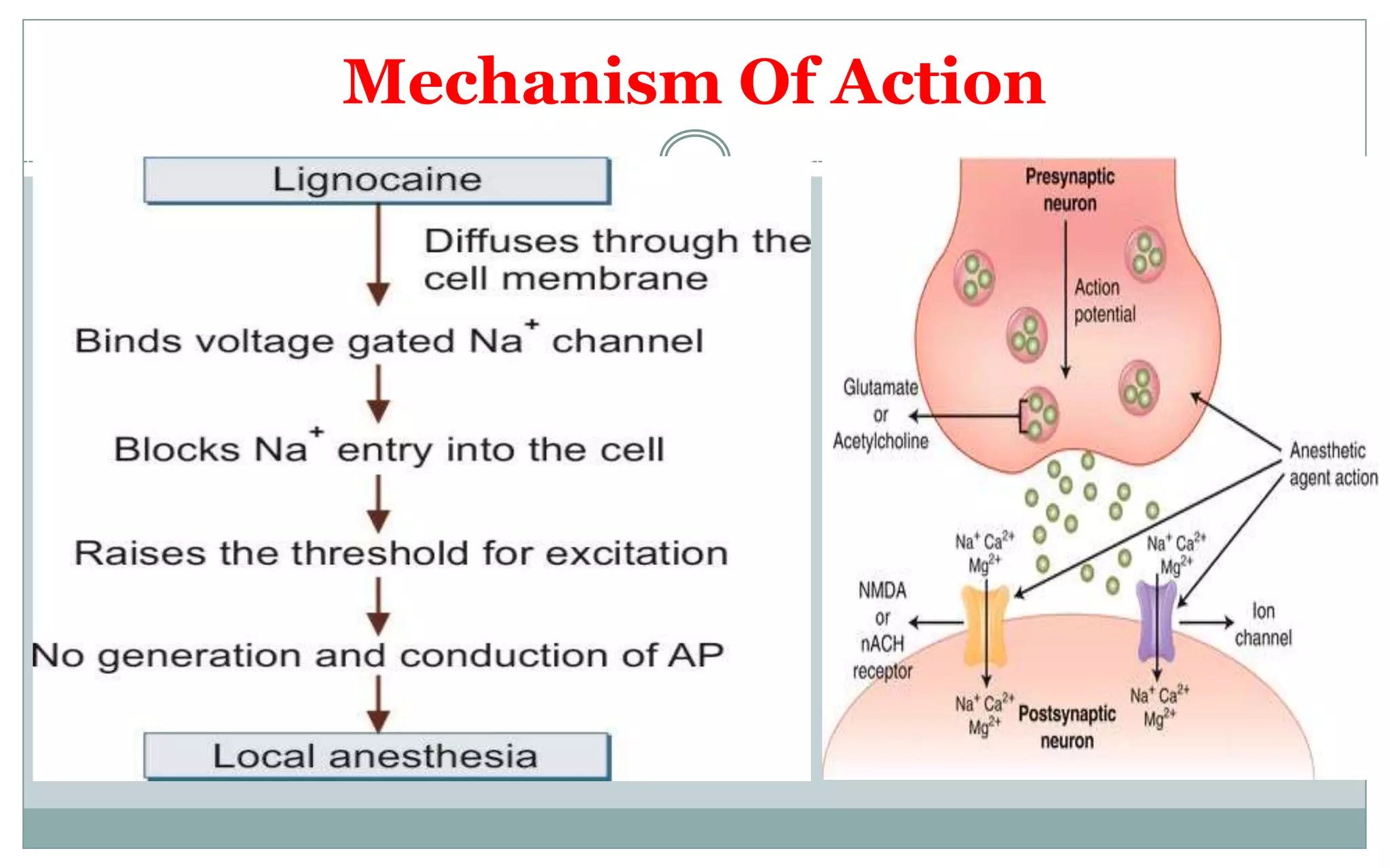 Pharmacotherapy of Local anaesthetic drugs | PPTX