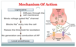 Pharmacotherapy of Local anaesthetic drugs | PPTX
