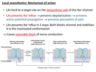 Local anaesthetics | PPTX