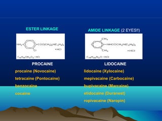 Local anaesthetics | PPT