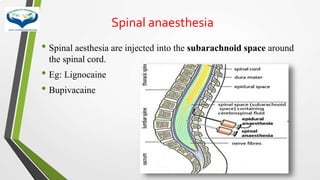 Local anaesthetics | PPTX