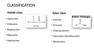 Local anaesthetics, Types of anaesthesia, classification, mechanism of ...
