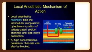 Local Anesthetics | PPT