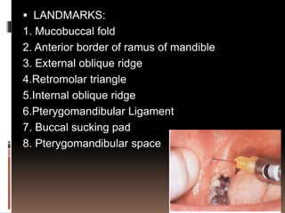 Pterygomandibular Triangle