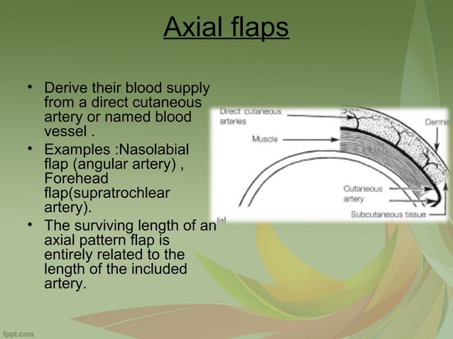 Local flaps in head & neack reconstruction | PPT | First Aid | Injuries
