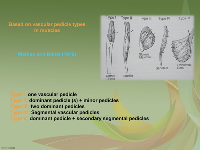 Local flaps in head & neack reconstruction | PPT | First Aid | Injuries