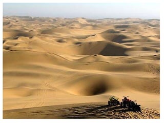 Local and global factors affecting vegetation growth | PPT