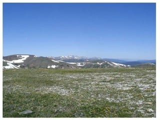 Local and global factors affecting vegetation growth | PPT