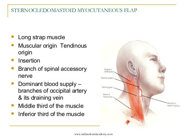 Local and regional flaps in head and neck cancer /certified fixed ort…