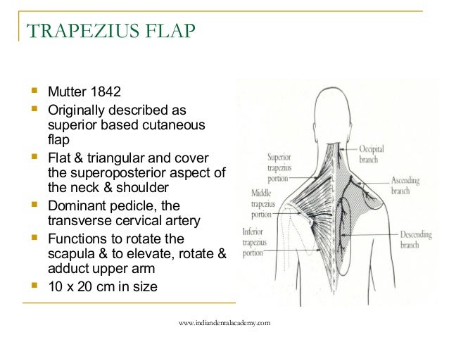 Local and regional flaps in head and neck cancer /certified fixed ort…
