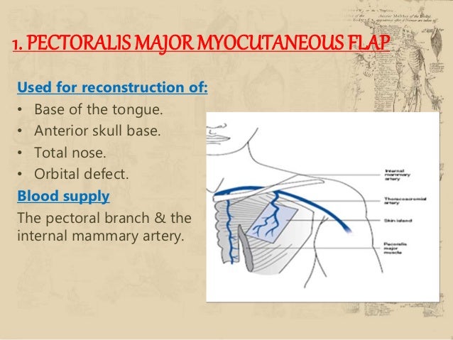Local And Regional Flaps In Head And Neck Reconstruction