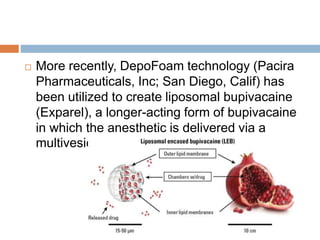 Local anesthesia (General Surgery) | PPTX
