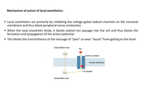 local anesthetics / Medicinal Chemistry | PDF