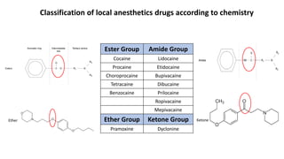 local anesthetics / Medicinal Chemistry | PDF