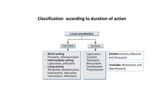 local anesthetics / Medicinal Chemistry | PDF