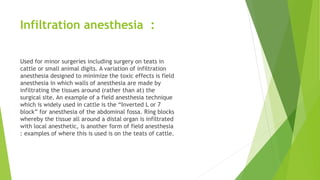Local anesthesia in animals | PPTX