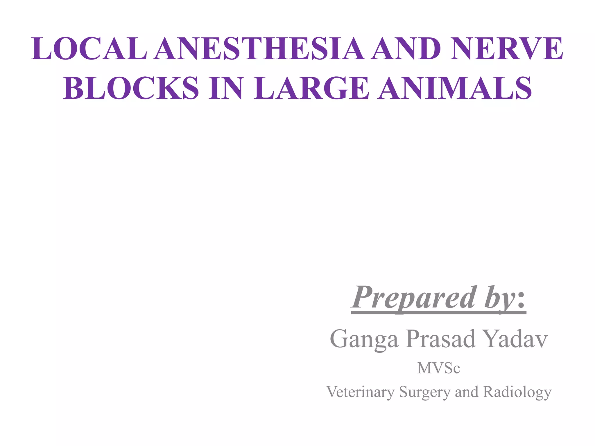 Local anesthesia and nerve blocks in large animals. | PPTX