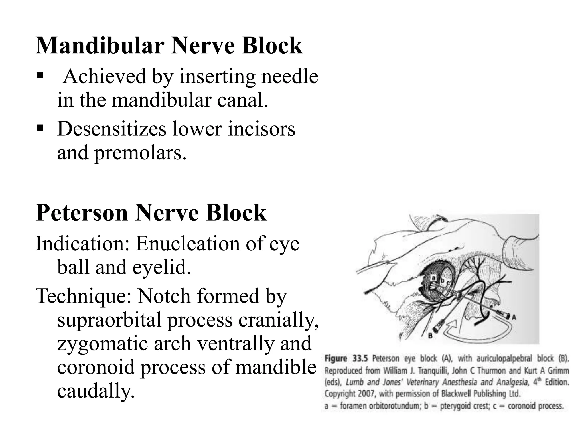 Local anesthesia and nerve blocks in large animals. | PPTX