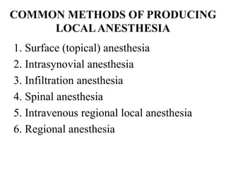 Local anesthesia and nerve blocks in large animals. | PPTX