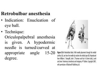 Local anesthesia and nerve blocks in large animals. | PPTX