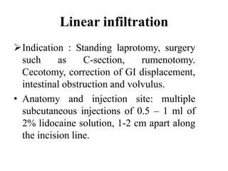 Local anesthesia and nerve blocks in large animals. | PPTX
