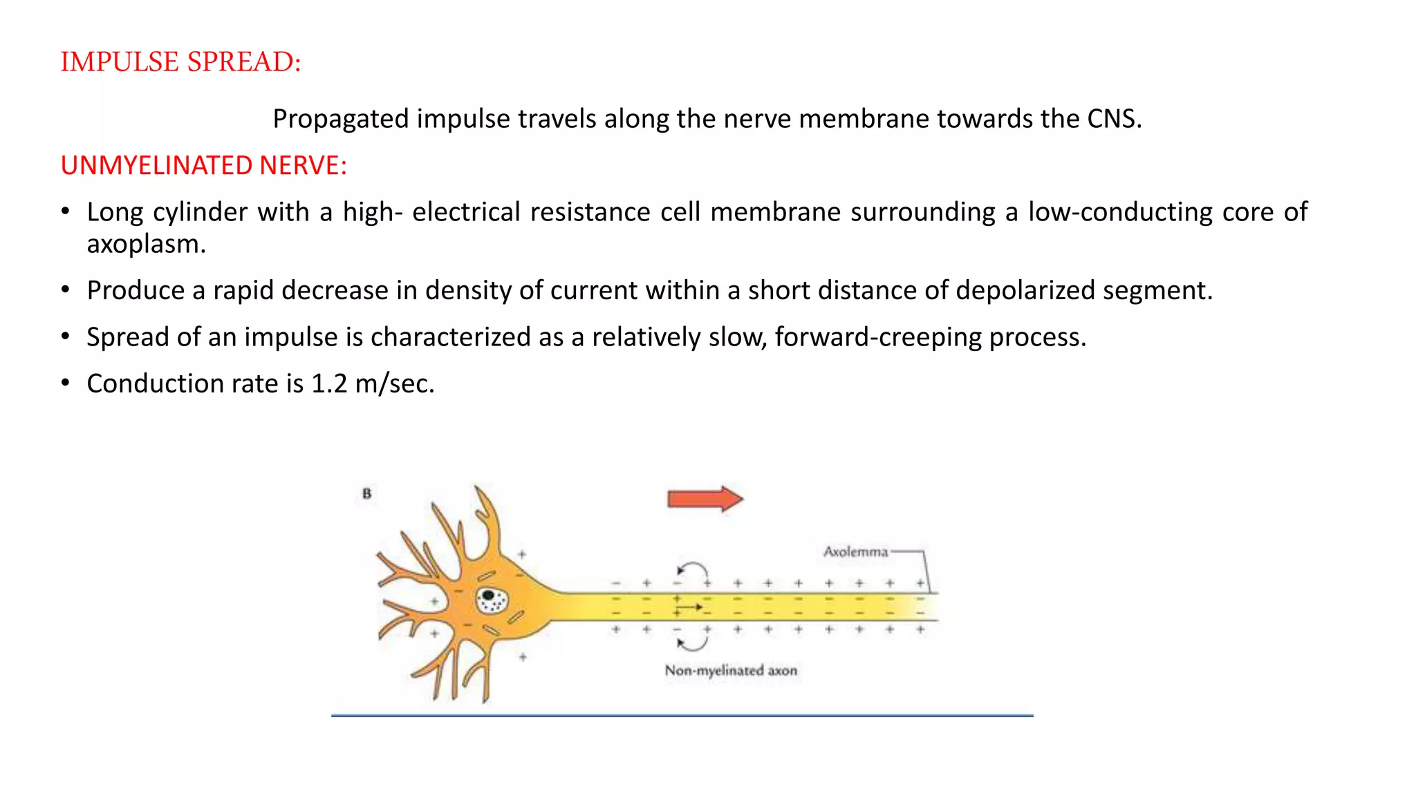 Local anesthesia in dentistry | PPTX