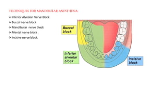 Local anesthesia in dentistry | PPTX