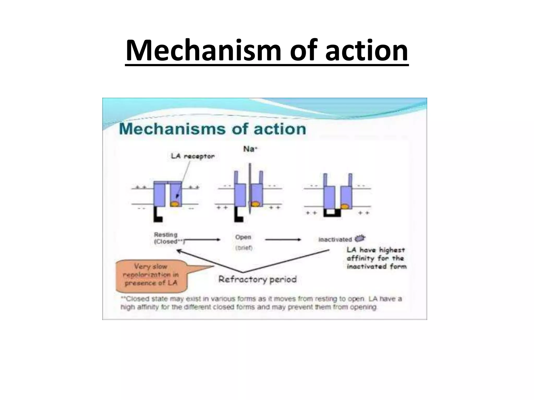 Local anesthesia ppt | PPTX