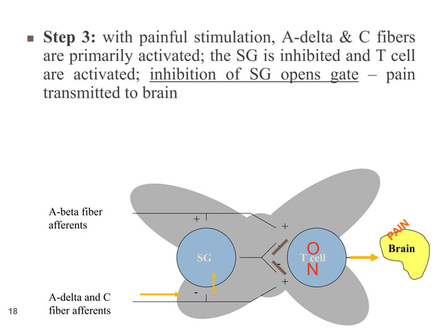 Local Anesthesia sam.pptx | First Aid | Injuries