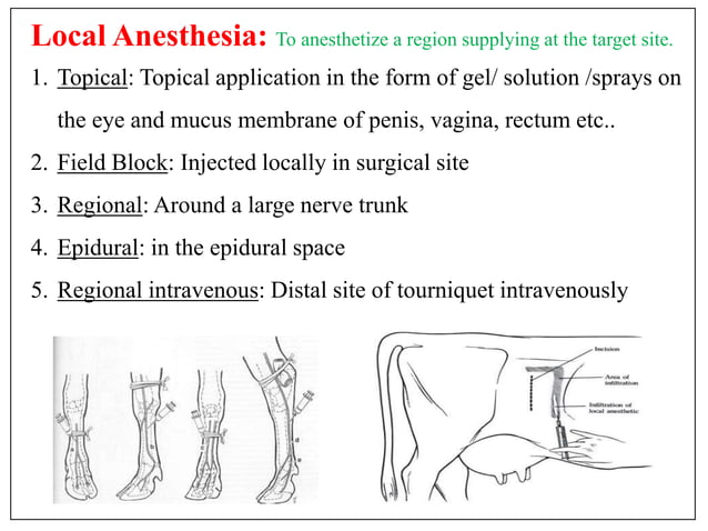 Local anesthesia techniques | PPT
